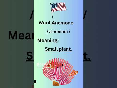 How to Pronounce Anemone in American Accent #learnenglish #learning