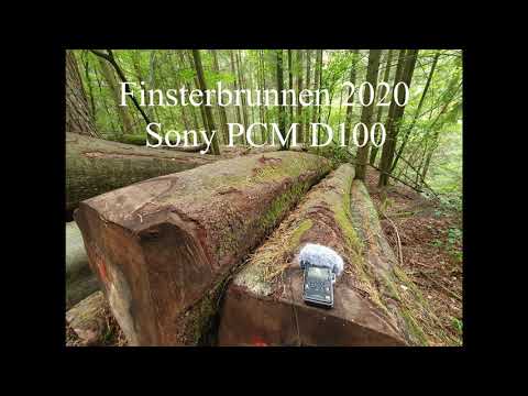 Sony PCM D100/ Finsterbrunnen Audio