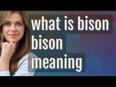 Bison bison | meaning of Bison bison