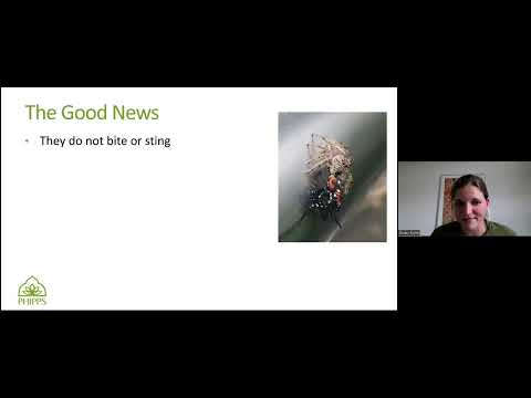 Lunch and Learn Series: Spotted Lanternfly and More Summer Pests