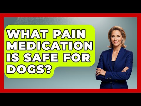 What Pain Medication Is Safe For Dogs? - Pain Medicine Network