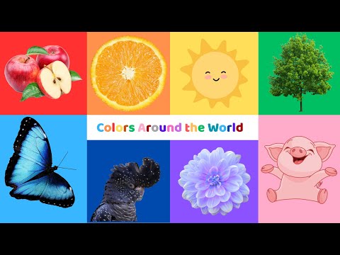 Colors Around The World | Learn Fun & Fancy Colors for Kids! || STUDY TIME KIDS