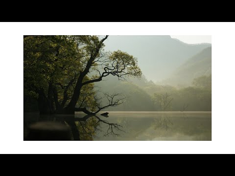Over 1 hour nature video and music by Martina, @tinaata