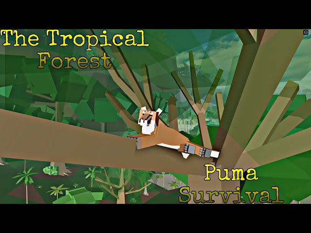 Roblox Amazon Ascension codes: Silver Dollars (October 2023)