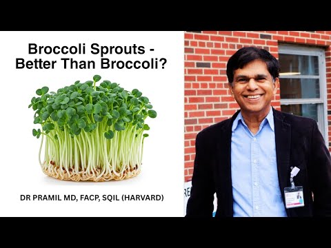 Broccoli Sprouts : Tiny Greens with Cancer Fighting Penitential