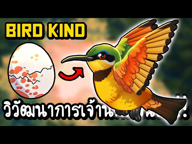 วิวัฒนาการเจ้านกน้อย!! | Bird Kind [ เกมส์มือถือ ] | วิดีโอครีเอเตอร์ :: OS