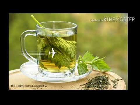 Top 10 Ayurvedic/Herbal Care Product Manufacturer in Ahmadabad|Gujarat|India
