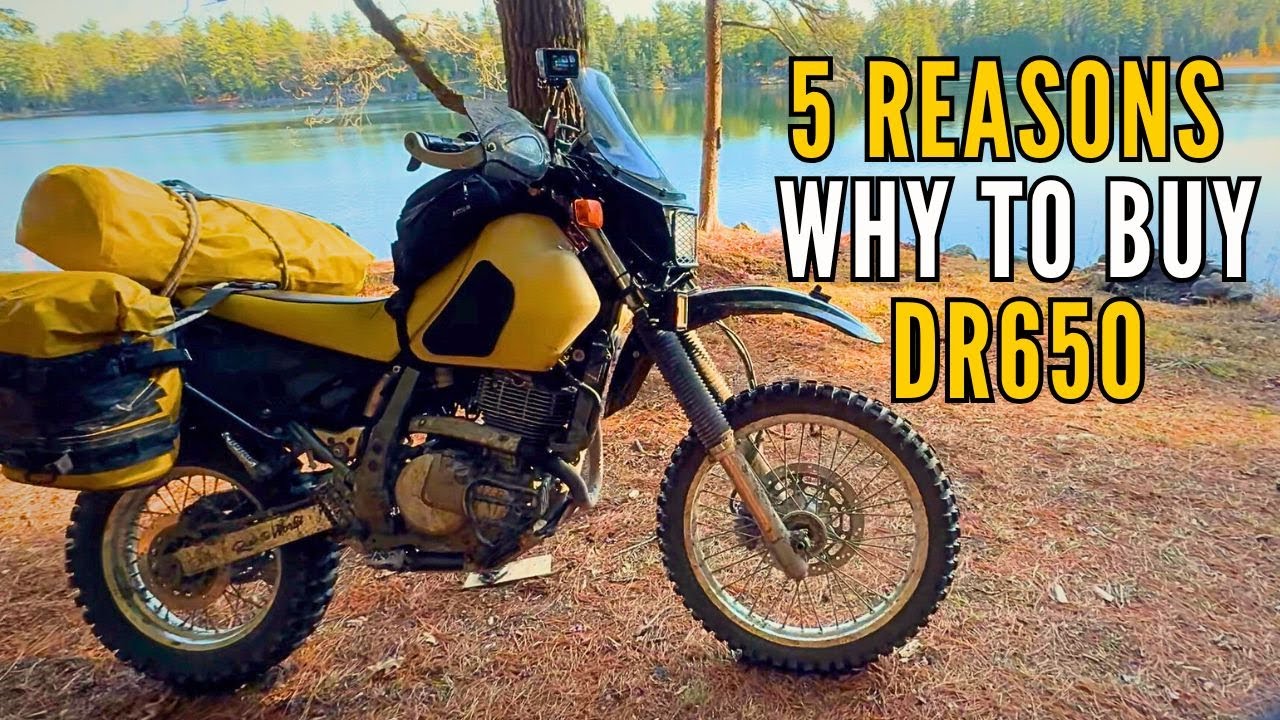 Why I bought this budget adventure motorcycle