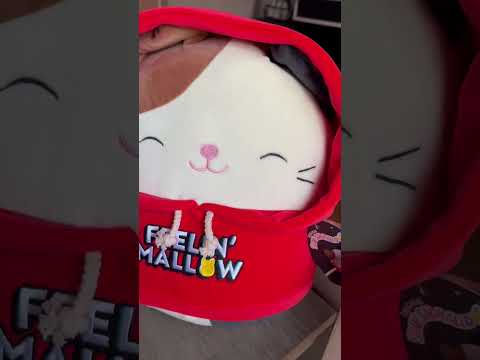 I got Cam the Cat! Squishmallow! #squishmallows #squishy #stuffed #unboxing #cat #cats #squishi