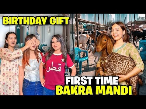 Fatima Faisal new vlog Fatima Faisal today is vlogs Fatima Faisal blog #fatimafaisal #sistrology