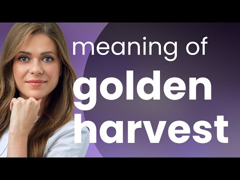 Golden Harvest: Unveiling the Riches of English Idioms