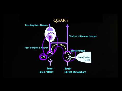 ANS Tests Part 3: Tilt Table - HRV - QSART and Others (16 of 24)