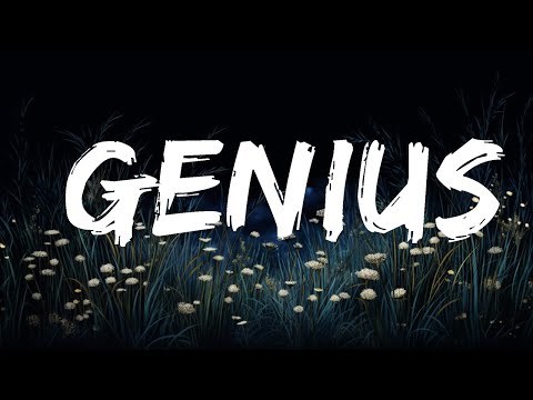 LSD - Genius (Lyrics) ft. Labrinth, Sia, Diplo | 20 Min