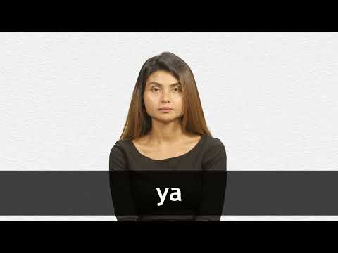 English Translation of “YA” | Collins Spanish-English Dictionary