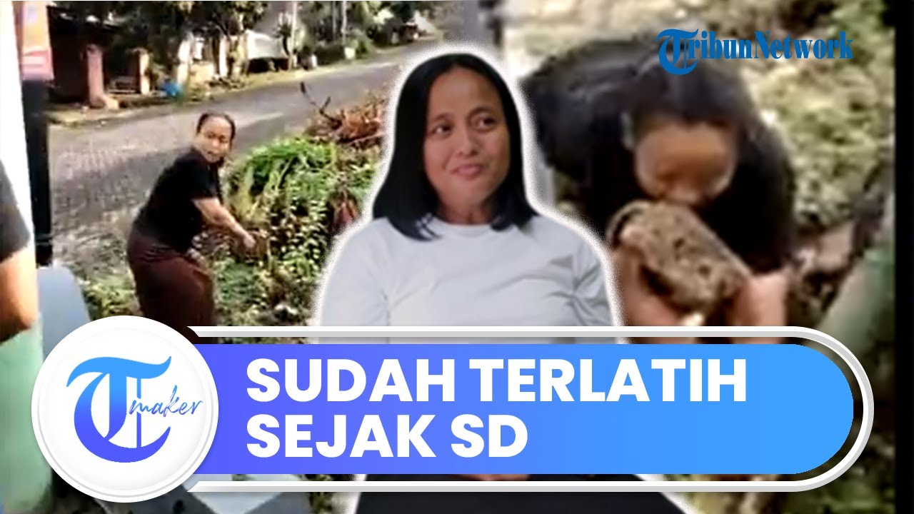 Emak-emak TANGKAP Ular 3 Meter Sendirian, Akui Terlatih Sejak SD ... Emak-emak TANGKAP Ular 3 Meter Sendirian, Akui Terlatih Sejak SD ...