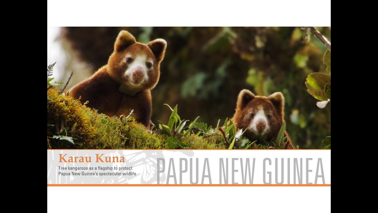 Karau Kuna, Papua New Guinea – Whitley Awards 2016