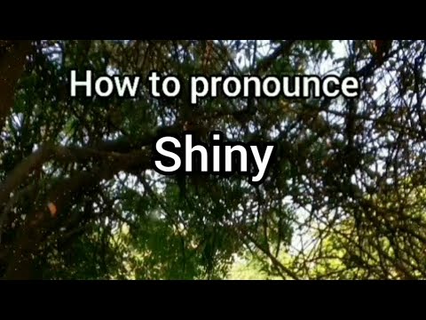 How to Pronounce Shiny