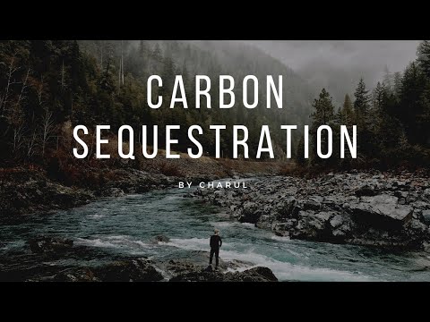 Carbon Sequestration | Terrestial , Oceanic & Geological | Ecology #carbonsequestration