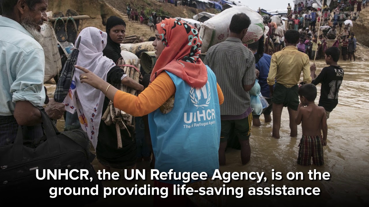 David Morrissey: Rohingya refugees need your support