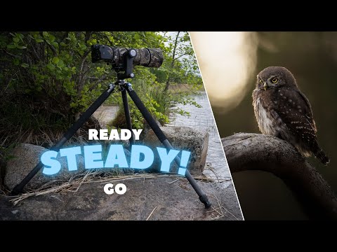 LIGHTWEIGHT kit for us WILDLIFE PHOTOGRAPHERS - Sirui R-3213X + PH10 Review