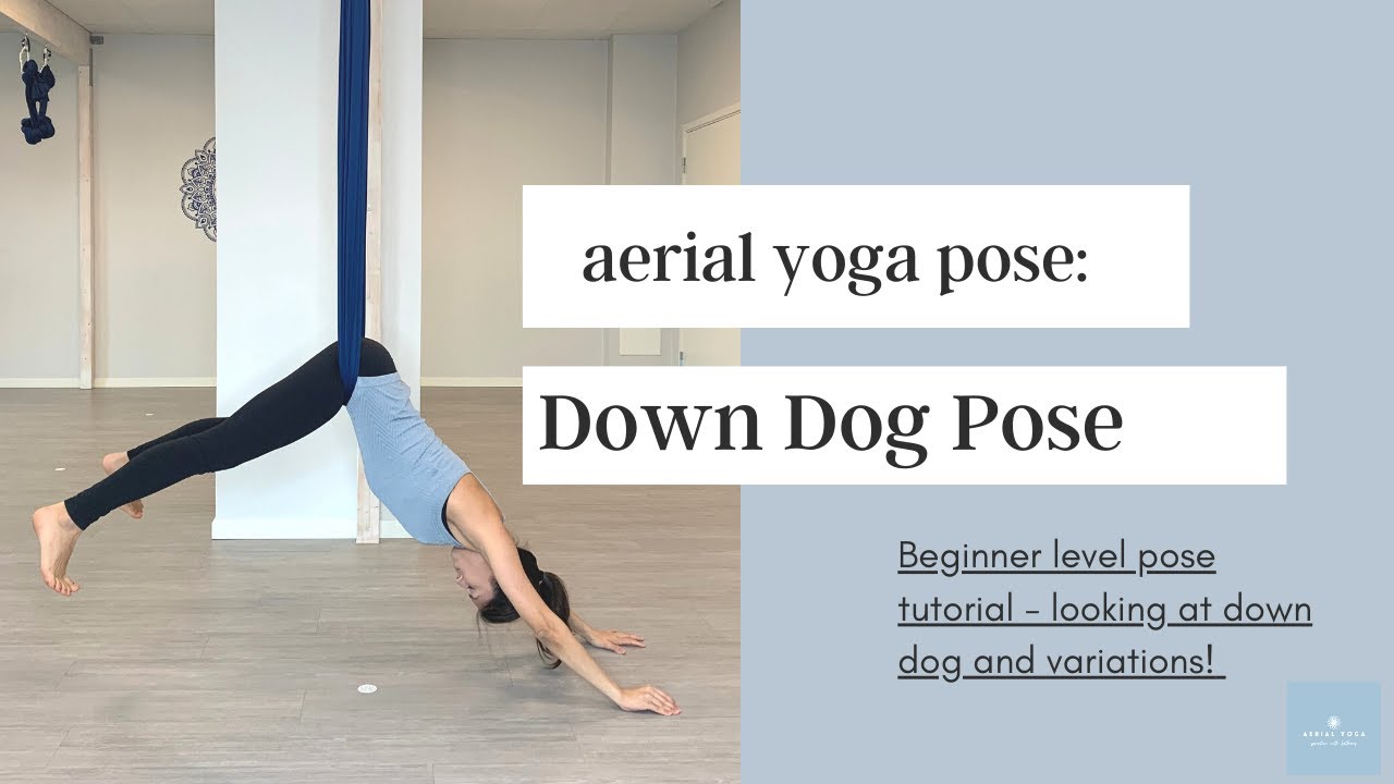 Down Dog Aerial Yoga Pose Tutorial