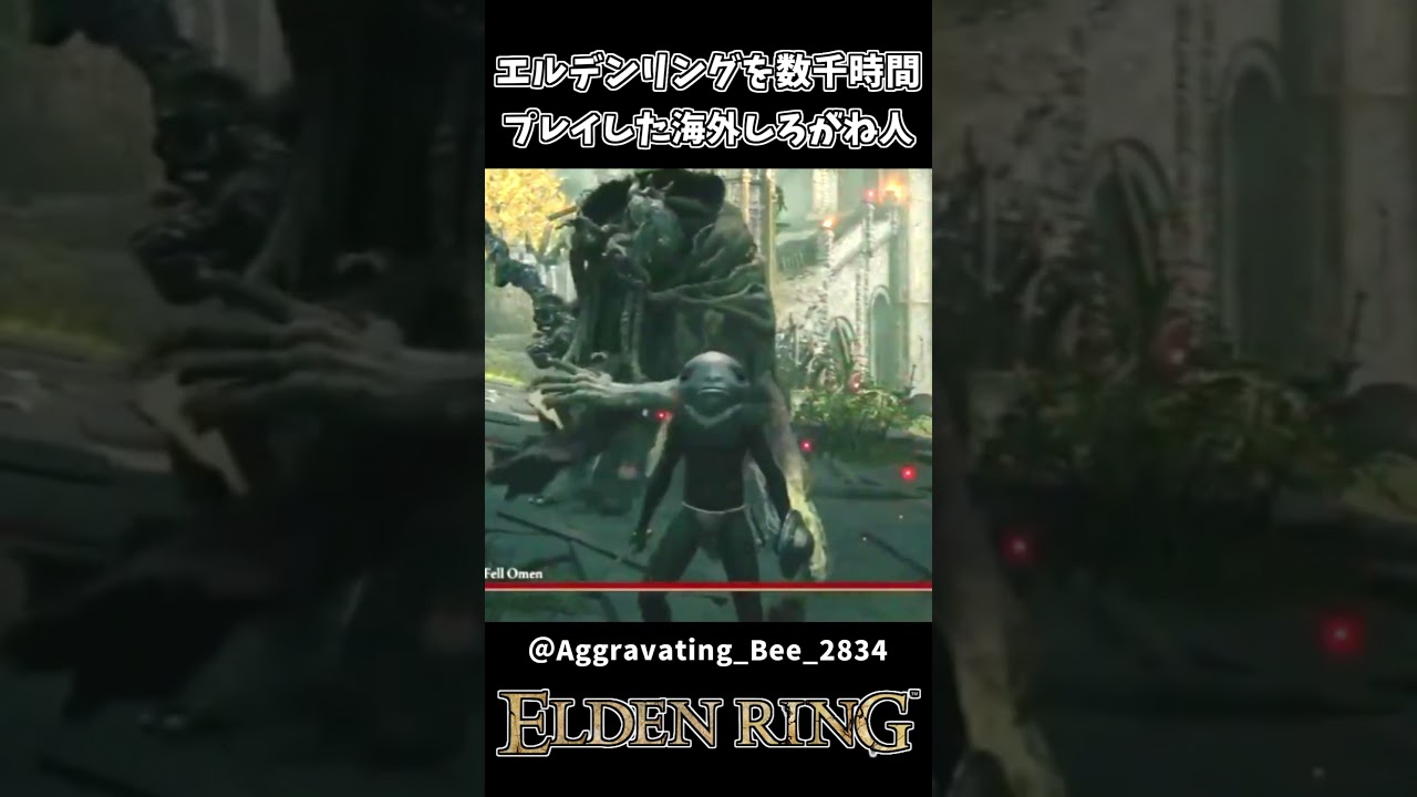数千時間プレイした海外ニキｗｗ【ELDEN RING】