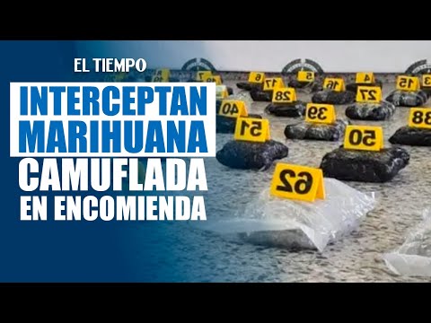 43 kilos of marijuana were intercepted as a package at El Dorado Airport | El Tiempo