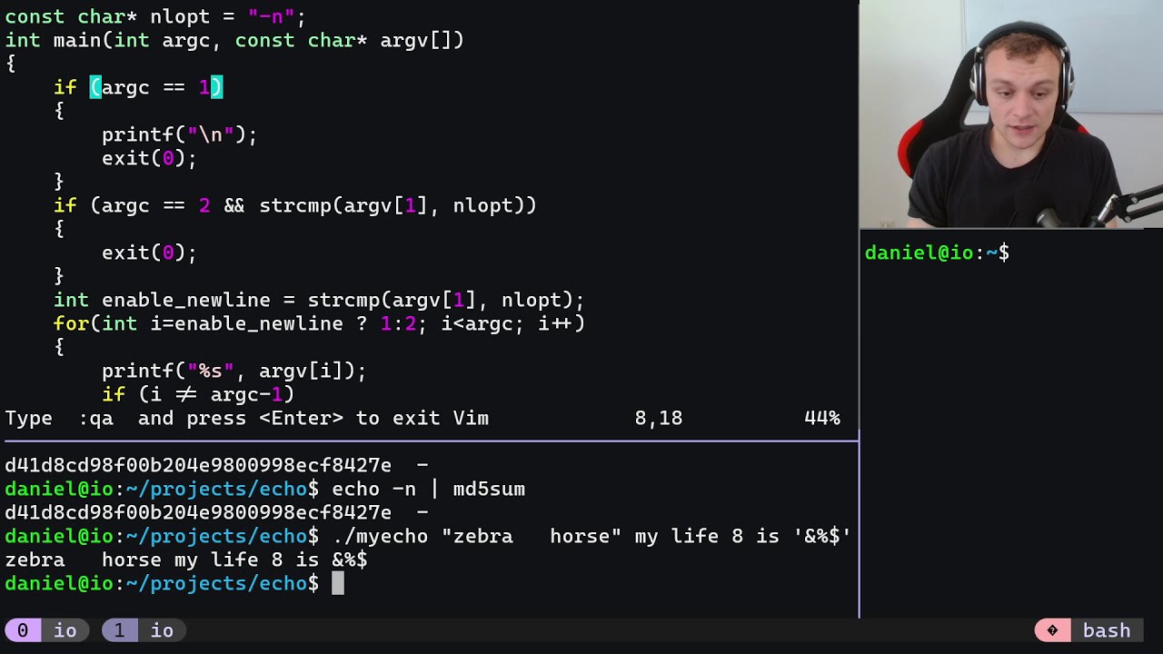 Coding echo in C from Scratch