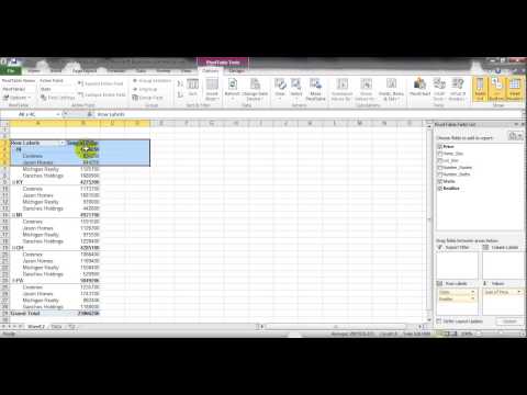 Multiple Row Filters in Pivot Tables