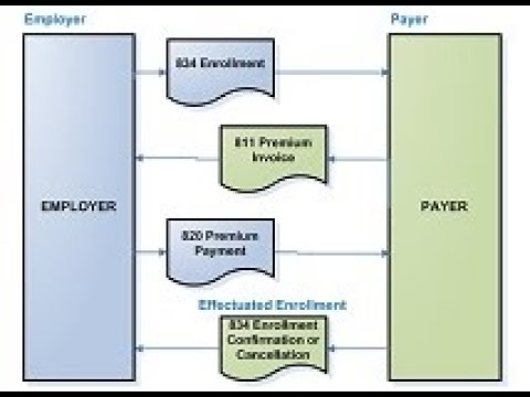 EDI Basics and Data Examples for 811 Enrollment Invoice with Companion Guide