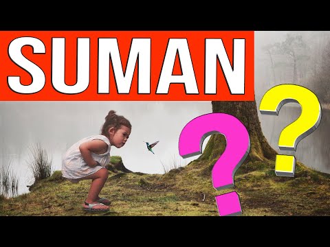 ❓ Suman - Suman Name Fun Facts - Suman Name Meaning - Suman Name Status - Suman Name