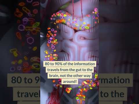 Gut Emotions: The Gut-brain Connection.