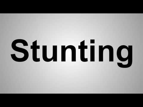 How To Pronounce Stunting