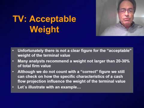 (10) TERMINAL VALUE WEIGHT