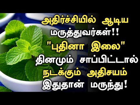 புதினா இலை மருத்துவ நன்மைகள்| Puthina Health Benefits in Tamil |Mint leaves Tamil Health Tips Part 6