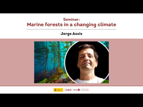 Seminar: Marine forests in a changing climate
