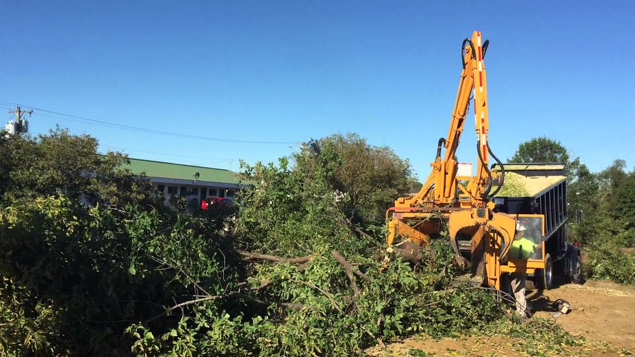 We're not feeding a horse, we're feeding a 350 hp. chipper. Colonial Tree Service