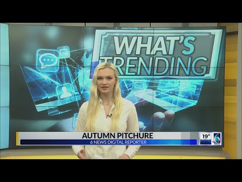 What's Trending on the Web