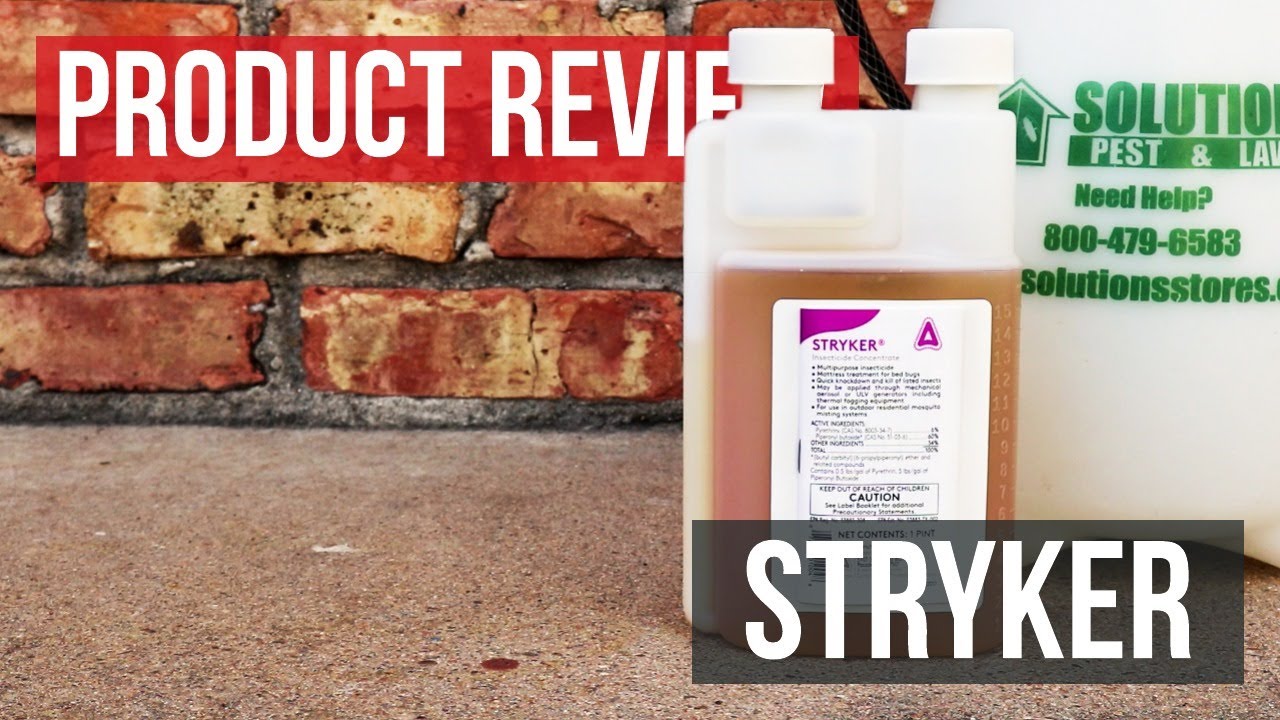 Stryker: Product Review