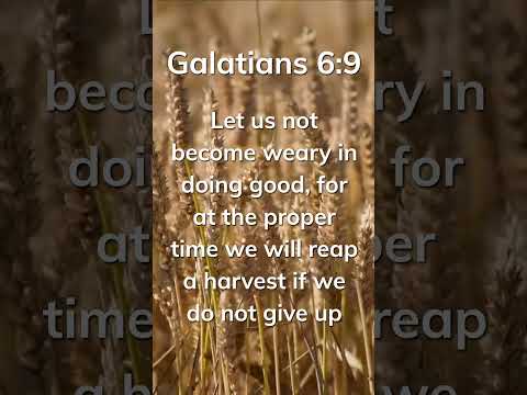 Have You Ever Experienced the Power of Galatians 6:9? Share in the comments! #jesus #short #bible