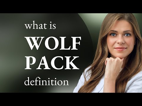 Wolf pack | definition of WOLF PACK