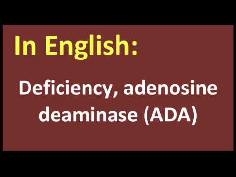 Deficiency, adenosine deaminase ADA spanish MEANING