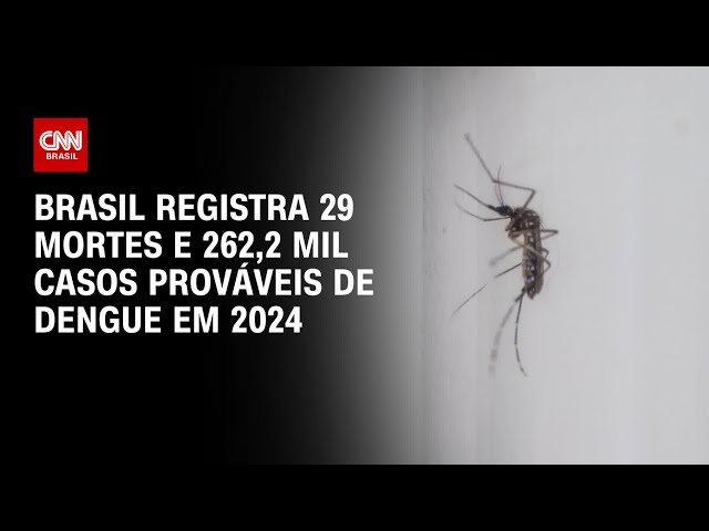 Brasil tem 262,2 mil casos prováveis de dengue, diz Ministério da Saúde | CNN Brasil