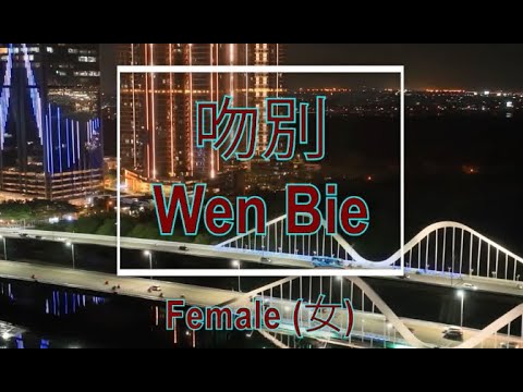 吻别 (Wen Bie) Female Version - Karaoke Mandarin