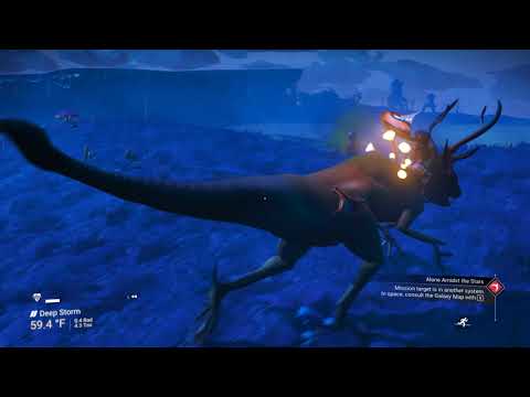 Steam Community :: Video :: One of the many lovely NMS creatures...