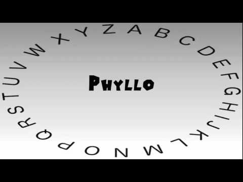 How to Say or Pronounce Phyllo