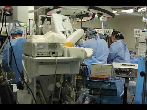 Clinical Observership - English version