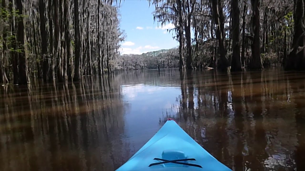Cathedral Paddling Trail on Caddo Lake