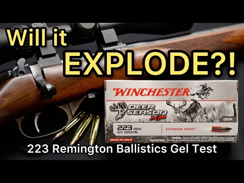 PERFECT .223 FOR DEER? 223 Remington Winchester Deer Season XP 64gr Ammo Test
