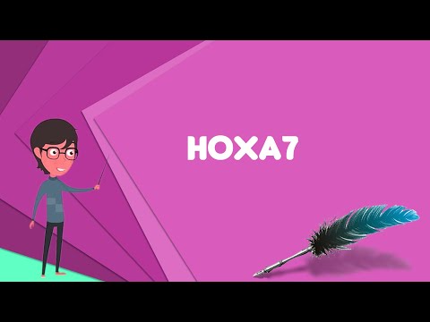 What is HOXA7? Explain HOXA7, Define HOXA7, Meaning of HOXA7